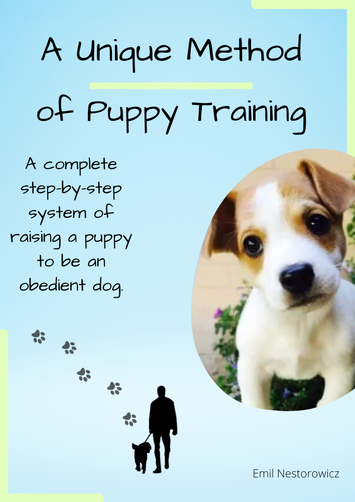 Unique puppy training method. – Red Pet